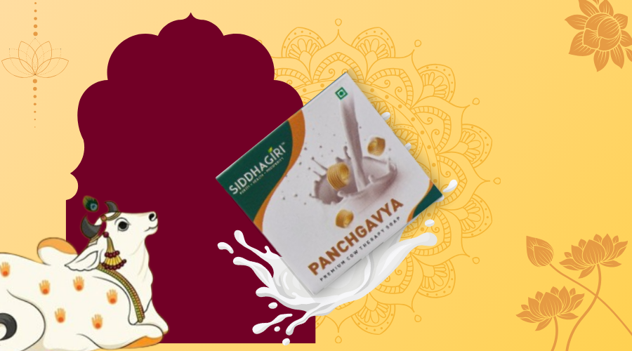 Panchagavya: The Ultimate Natural Detox